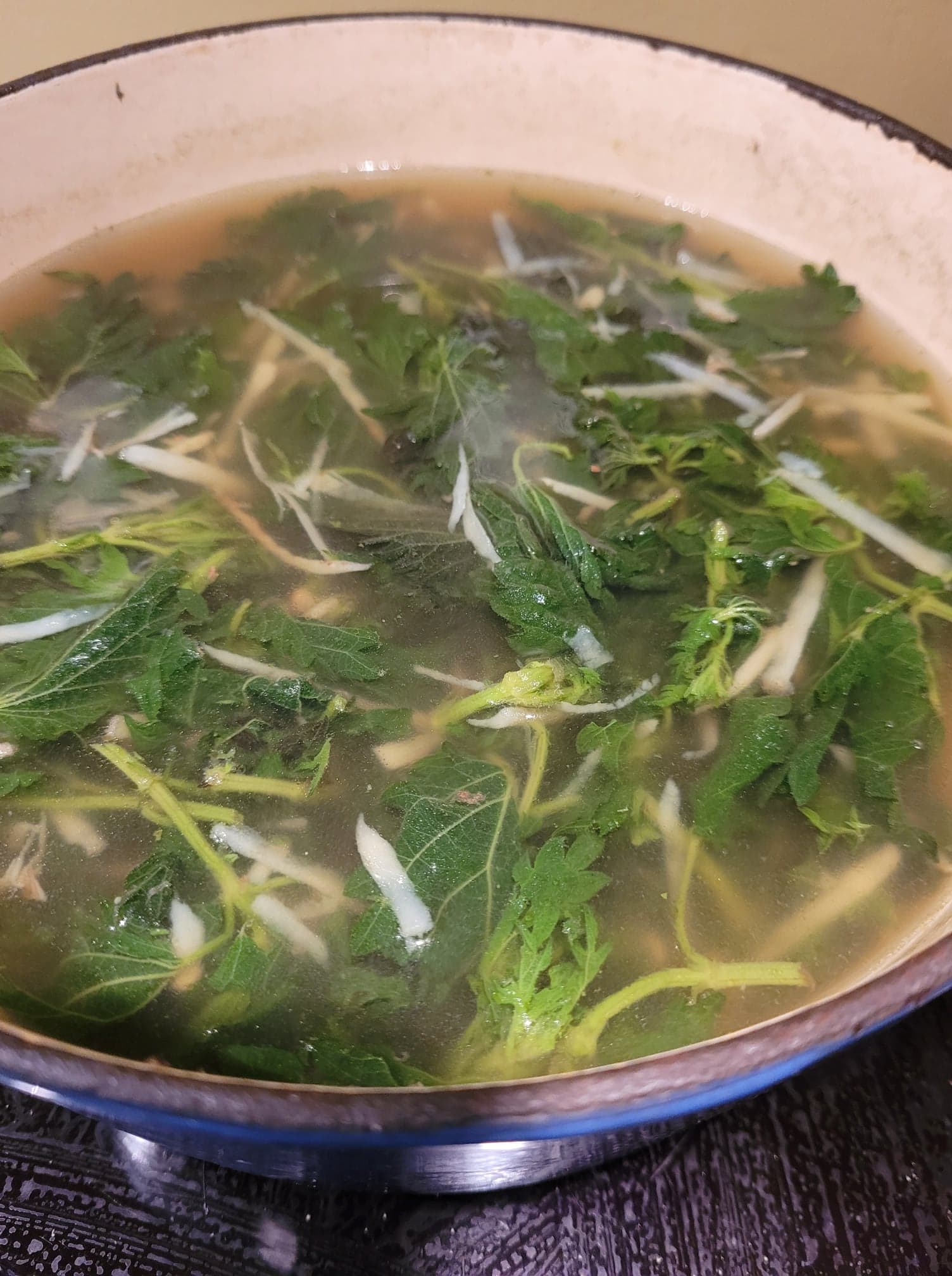 Brennesle – til ergrelse eller glede? – Den naturlege hagen